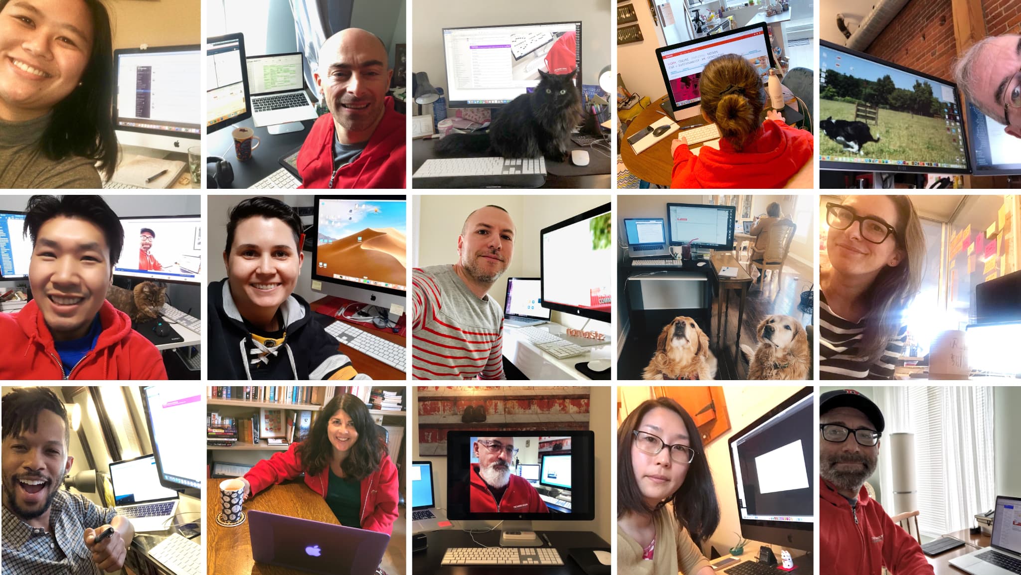 The Works – Over 35 new locations to serve you better! - Works Design